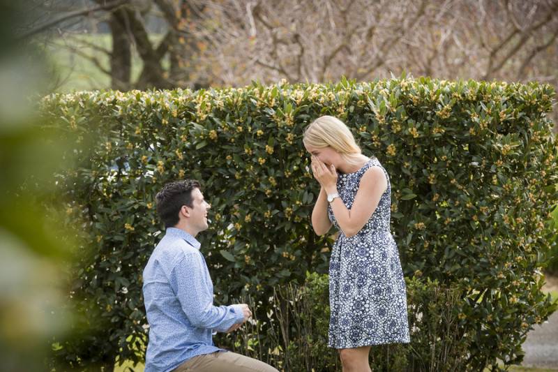 A Beautiful Winery Proposal - Wedding Fanatic